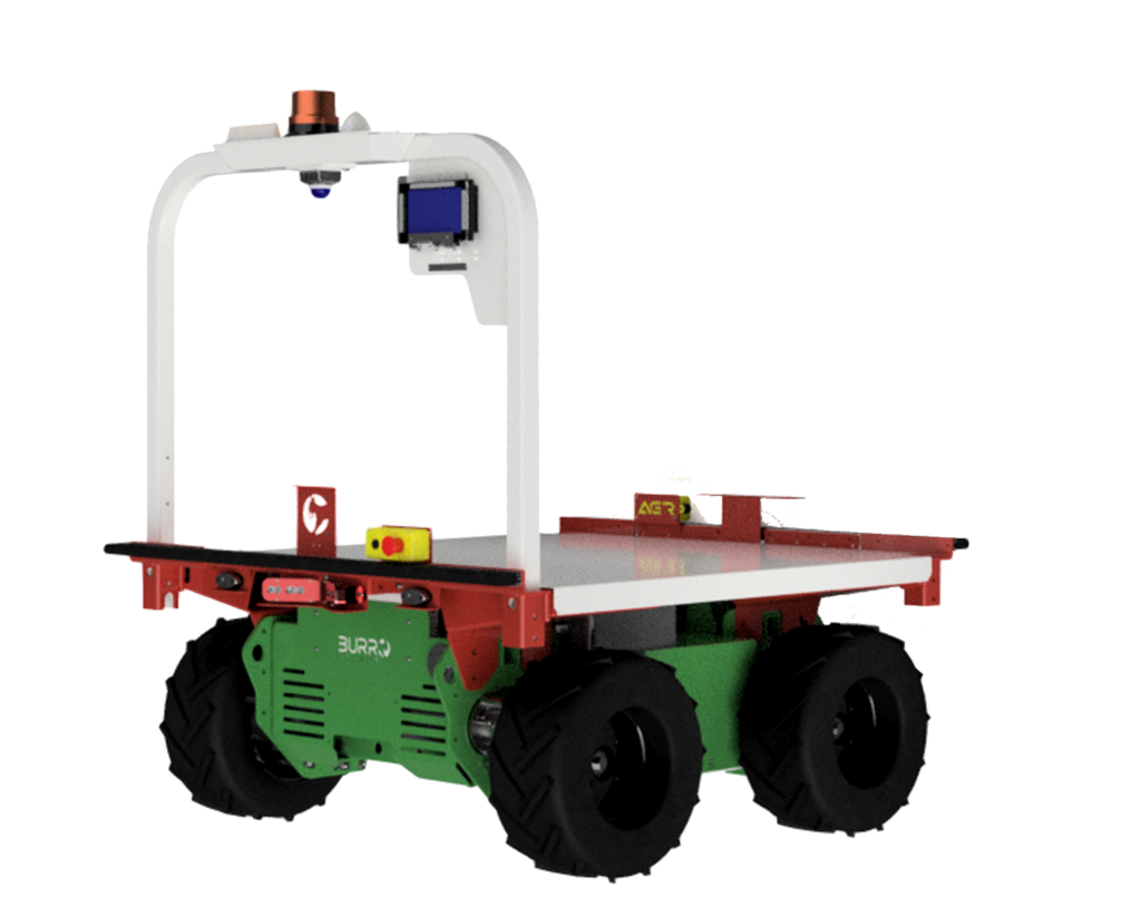 Burro Grande - Burro