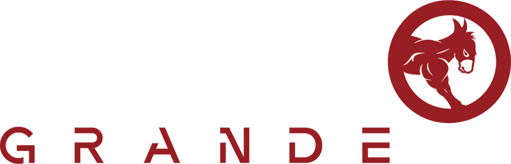 Burro Grande - Burro