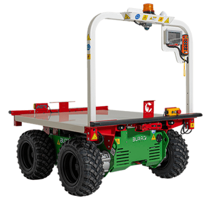 Burro Grande - Burro